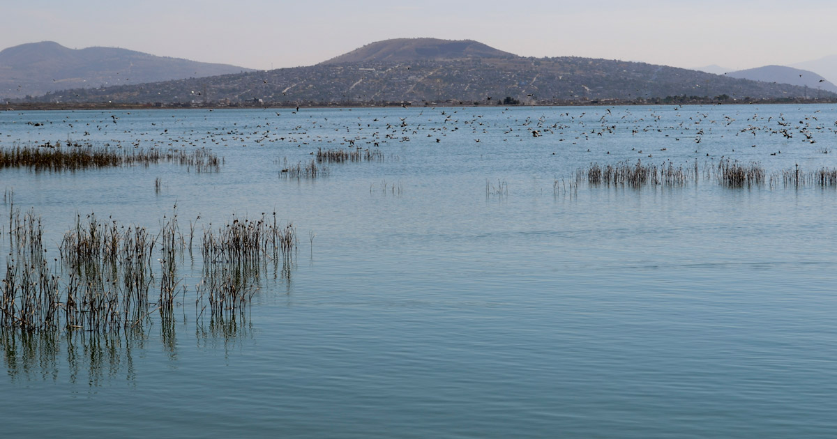 El lago vale mucho más que el aeropuerto