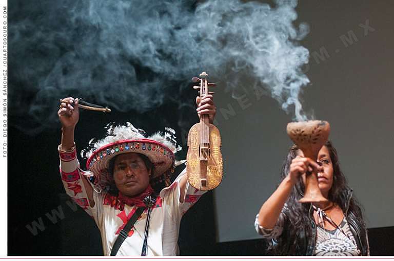 Legalizar las plantas, combatir las drogas - Contralínea